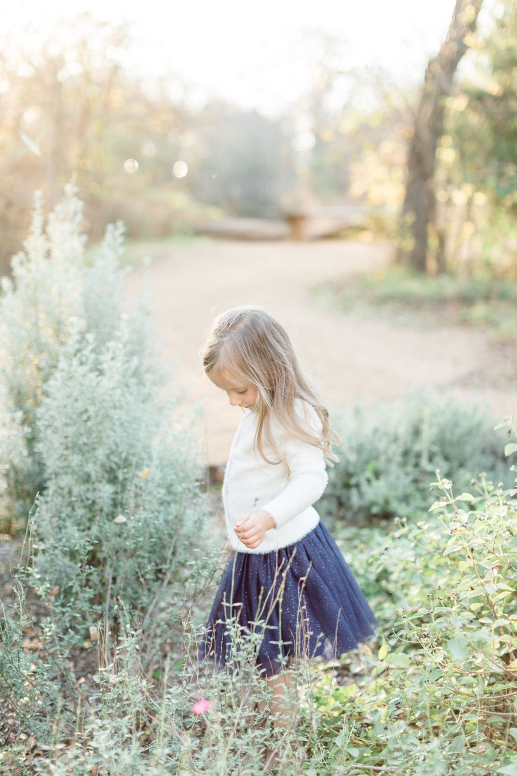 The Hendon Family | Mansfield Family Photography ...